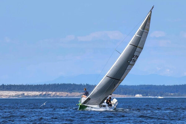 Team Roscoe Pickle Train - Race to Alaska